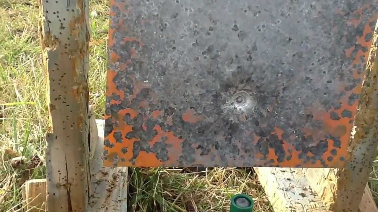 12 Gauge Shotgun Slug Damage