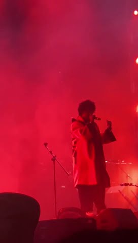 Hanumankind @ Lollapalooza #hanumankind #concert - YouTube