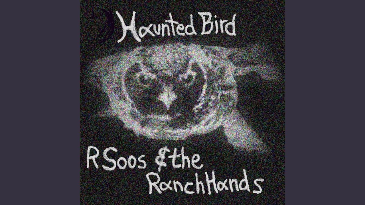 Haunted Bird - YouTube
