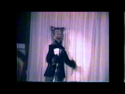 Wolf Pack 5 Theme Complete. - YouTube