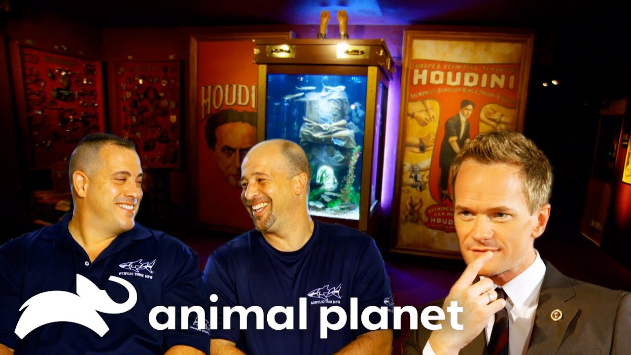 Neil Patrick Harris Requests A Magical Tank! | Tanked | Animal Planet ...