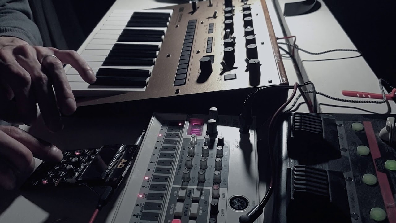Korg Monologue // Volca Sample // К.О. 33 // Live set - YouTube