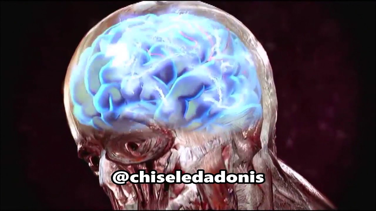 Wrestler Turns Into Neo In the Matrix During Match - YouTube