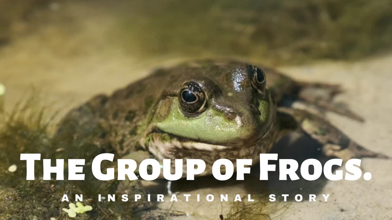 The Group of Frogs - motivational short story | short Stories in ...