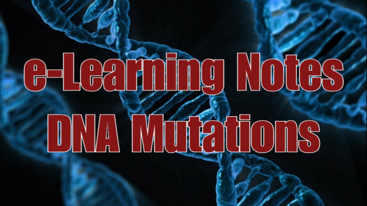 E Learning Notes on DNA Mutations - YouTube