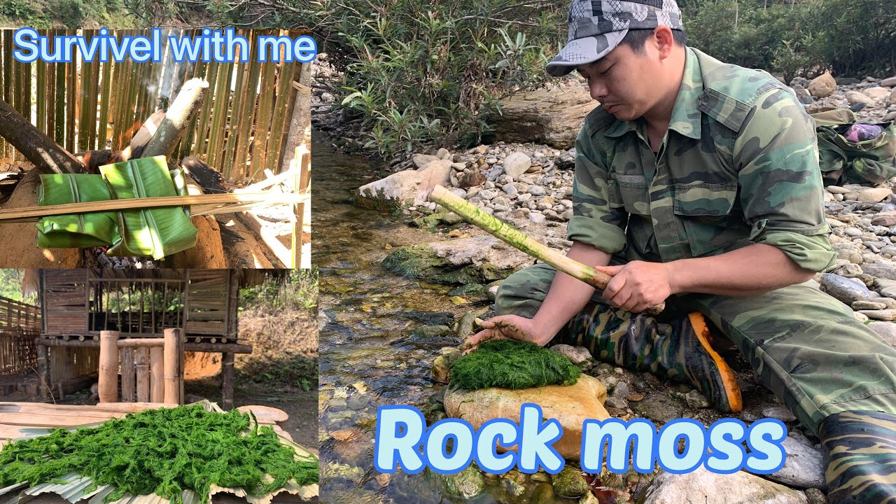 take rock moss as food. grilled moss. Survive Alone. return date part 1 ...