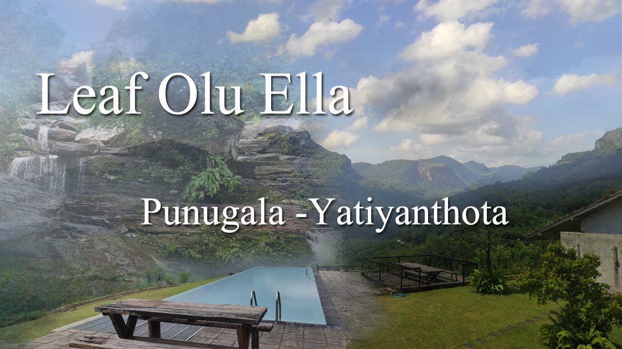 Leaf Olu Ella Yatiyanthota #srilanka #nature #tourism #hotel #travel # ...
