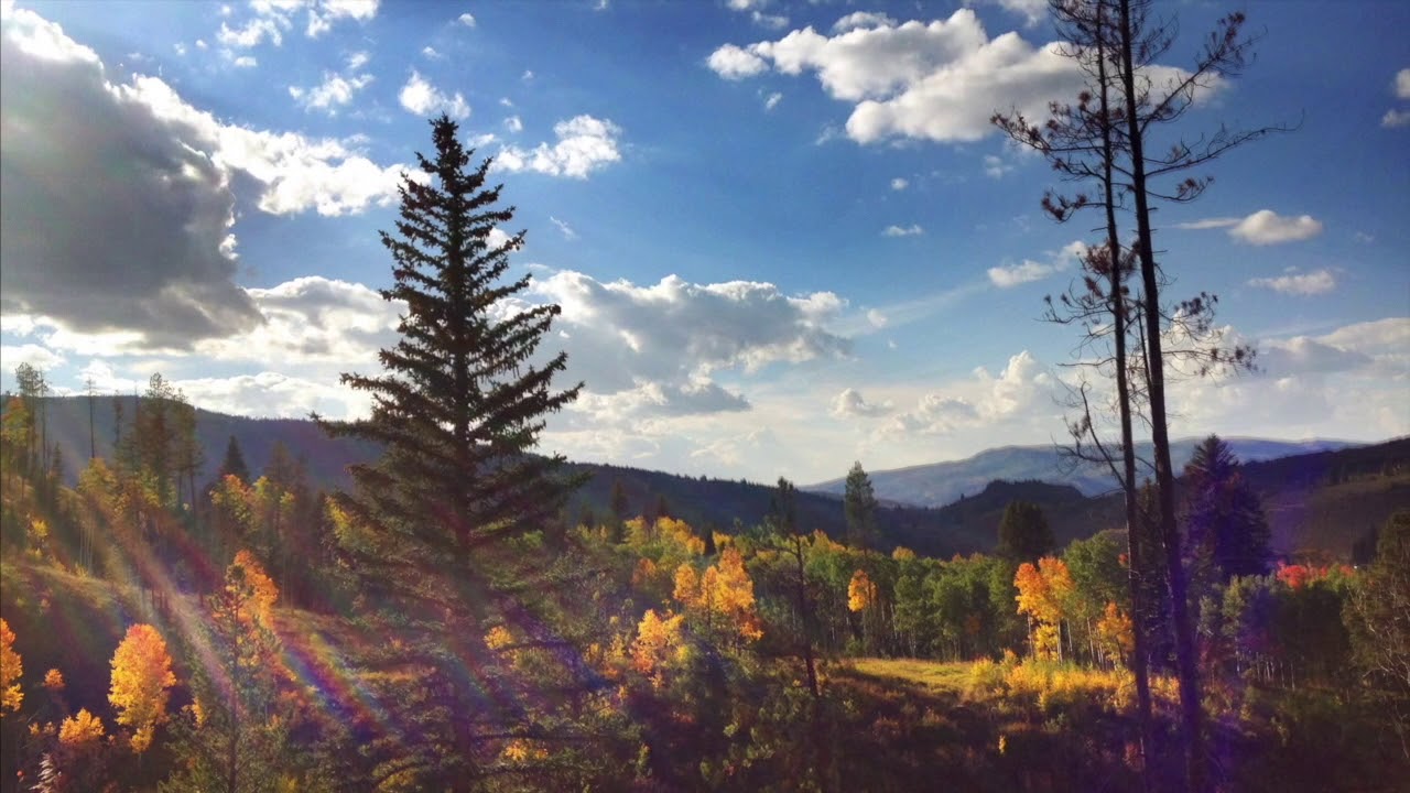 Bob Gulley & Brent Rowan - I Can See Clearly - - YouTube