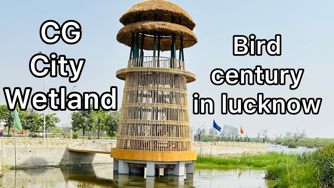 CG city wetland lucknow | bird century in lucknow #lucknow #cgcity - YouTube