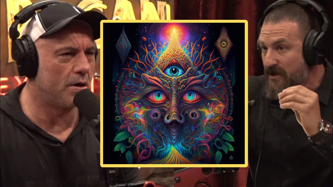 Leverage Psychedelics To Maximize Your Brains Potential | Joe Rogan ...
