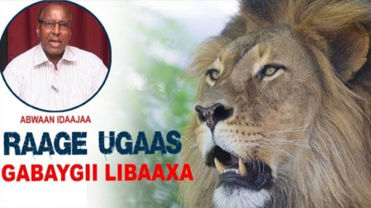 Dhaxaytooyada Suugaanta || Qoraa Axmed Faarax Cali Idaajaa. - YouTube