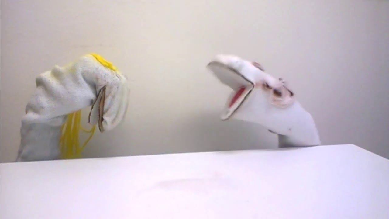 Sock Puppet Romeo and Juliet - YouTube