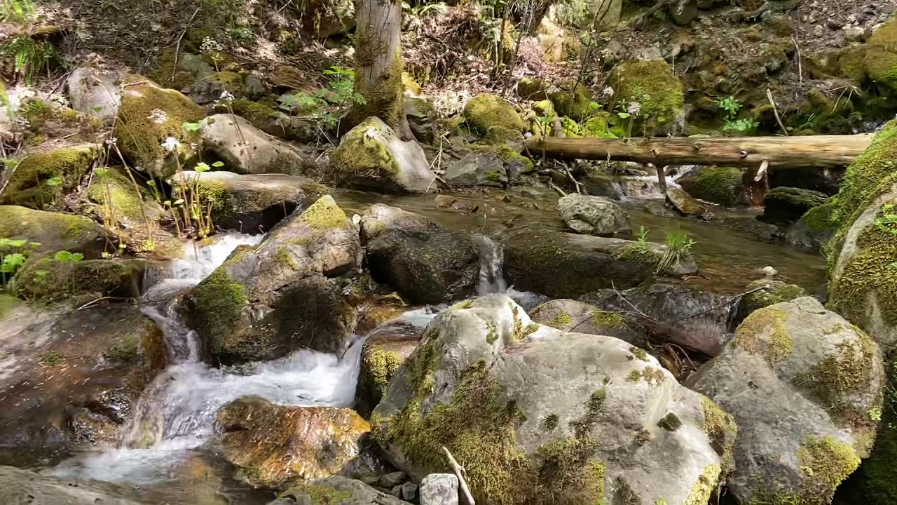 Mule Bridge Trail, Marble Mountain Wilderness - YouTube