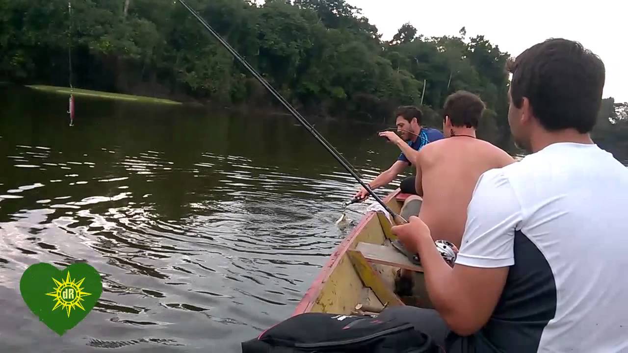 Pescando en el Amazonas - YouTube