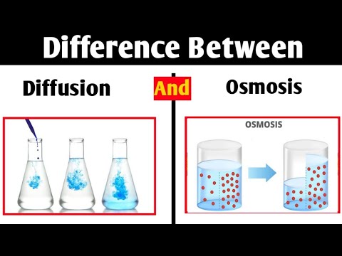 Diffusion and Osmosis Difference | What is diffusion? | What is Osmosis ...