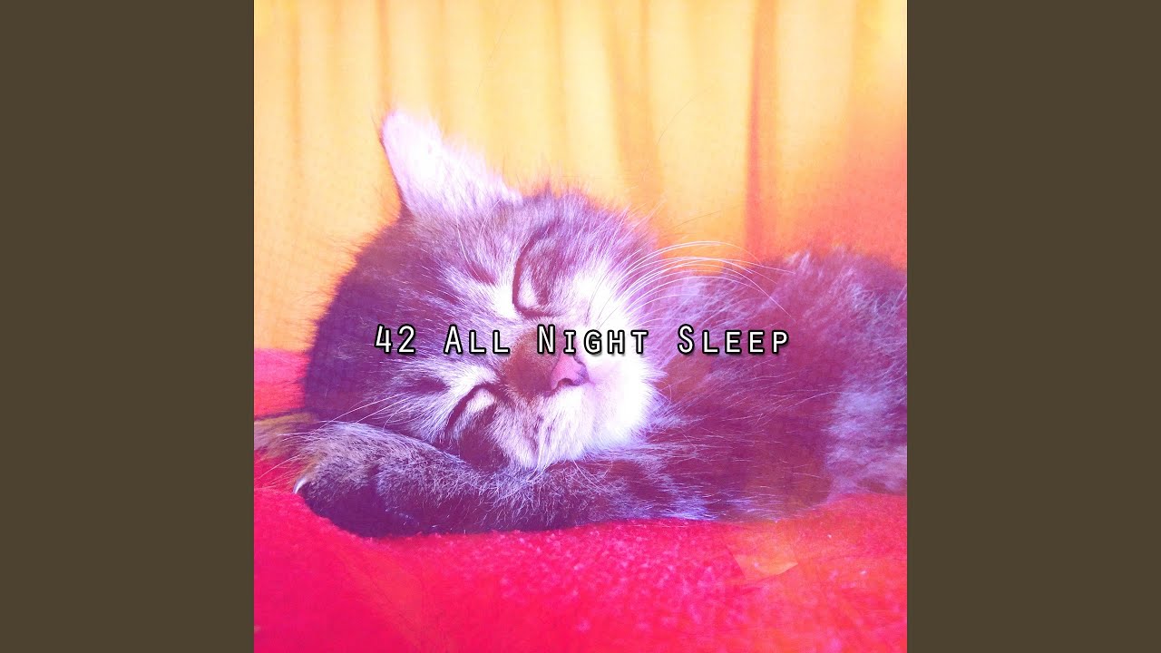 Lull Into Quiet - YouTube