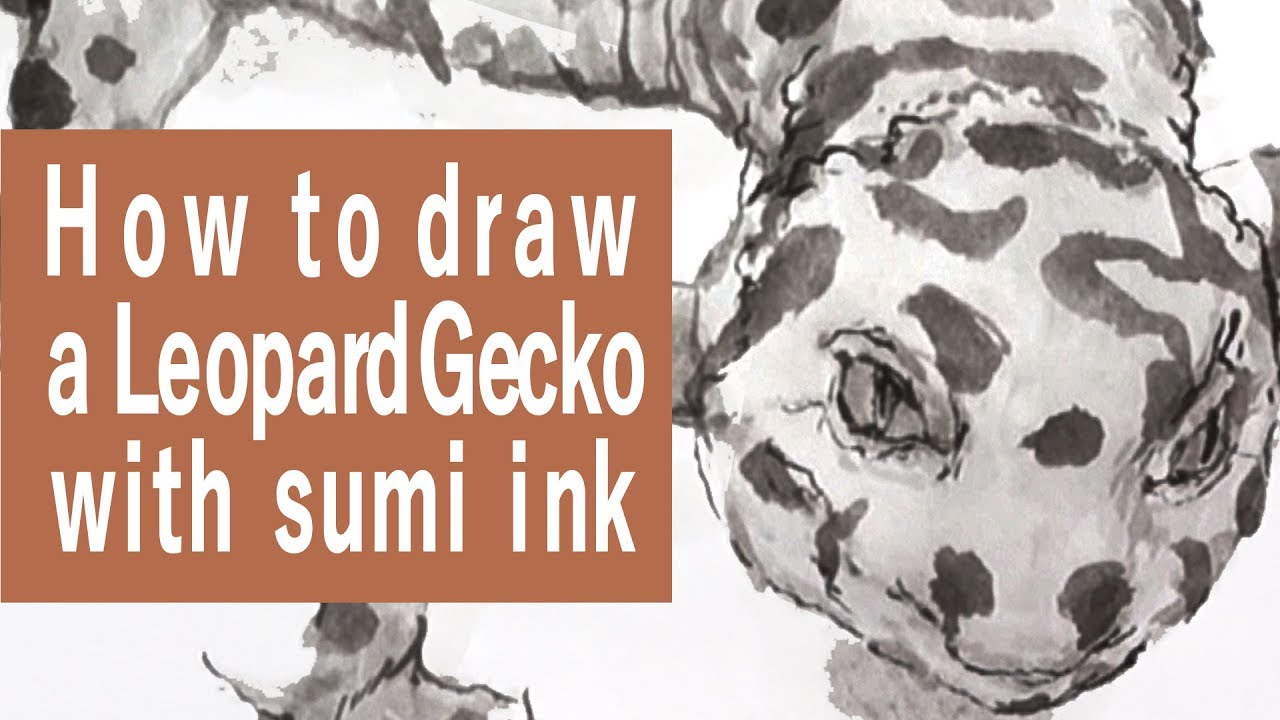 How to draw a Leopard Gecko with sumi ink. - YouTube