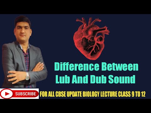 Difference Between Lub And Dub Heart Sound | Cardiac Cycle ...