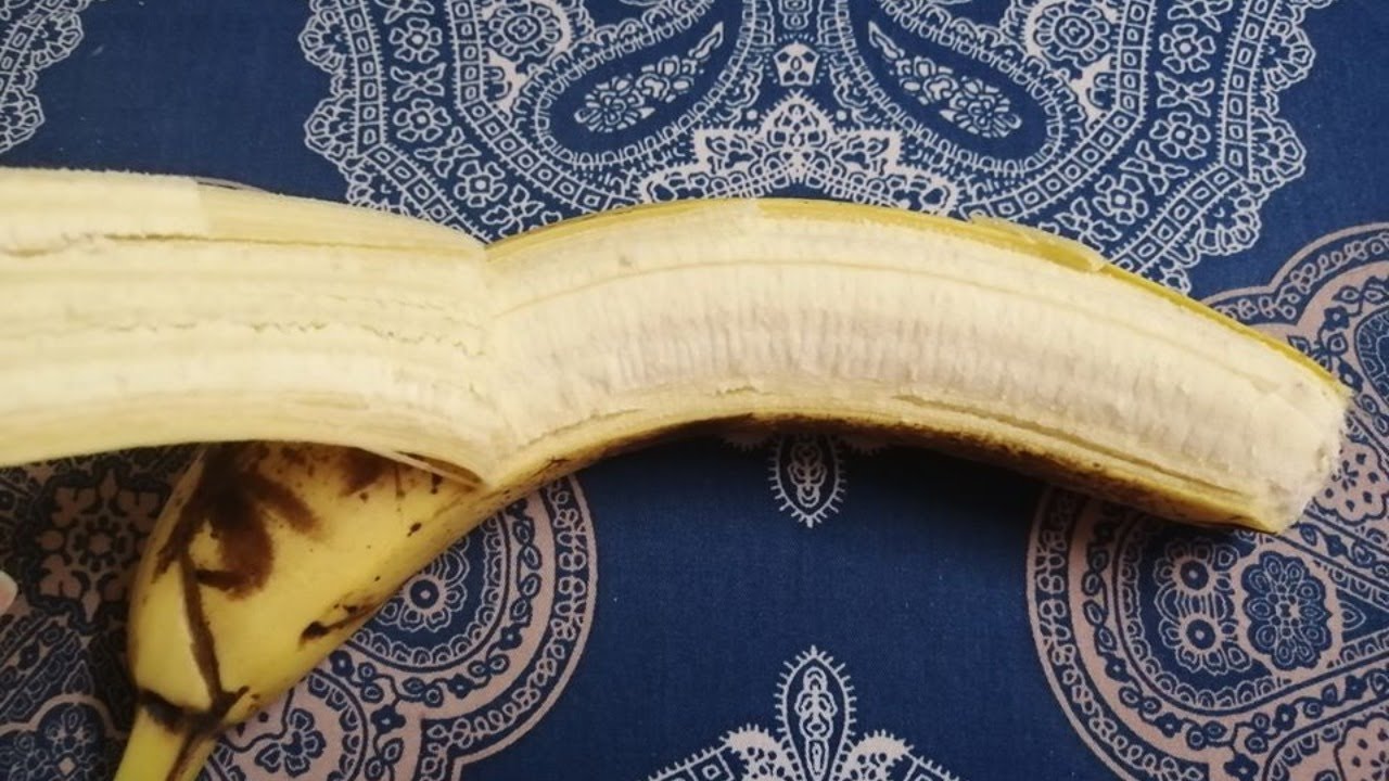 #TUSOK#TUWAD - YouTube