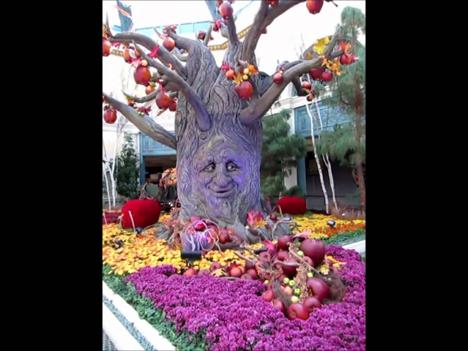 Talking Tree @ the Belagio - YouTube