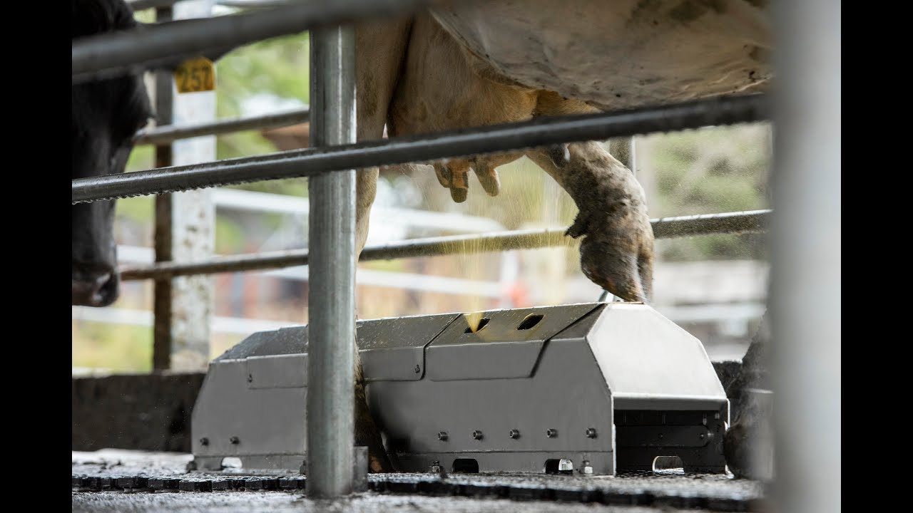 Automatic teat spray system- Teatwand Exact and Teatwand Stepover by ...