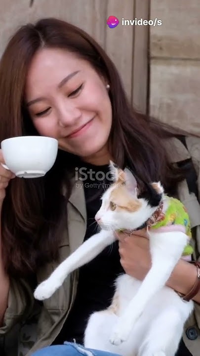 Miso the cat a sad tale..😭😺🐈(based on true story) - YouTube