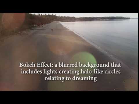 Bokeh Video Effect