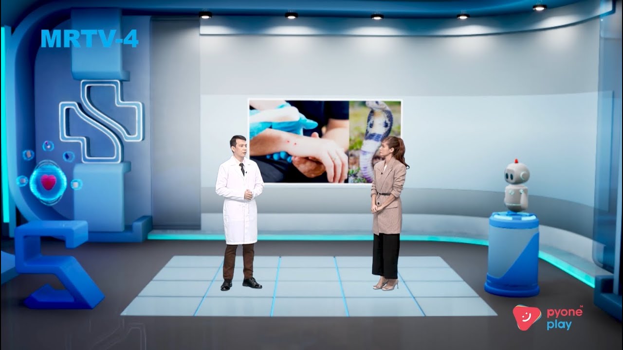 မိုးတွင်းကာလ ဂရုစိုက်ရမည့် မြွေအန္တရာယ် | Health Fix | MRTV-4 - YouTube