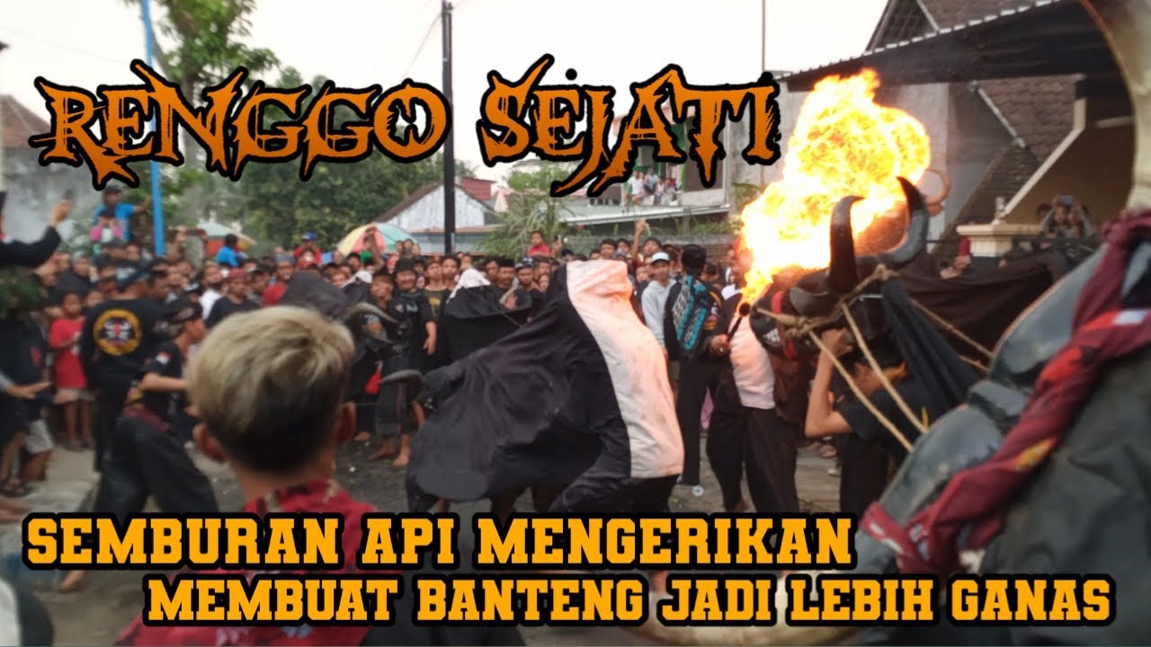 Semburan api membuat banteng menjadi lebih ganas RENGGO SEJATI || Live ...