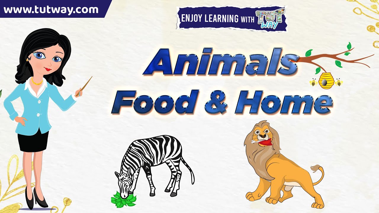 Animals Food & Home | Food of Animals | Herbivores, Carnivores ...