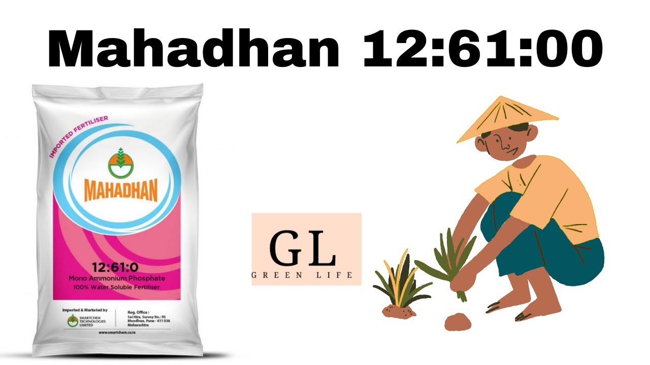 Mahadhan 12.61.0 - YouTube