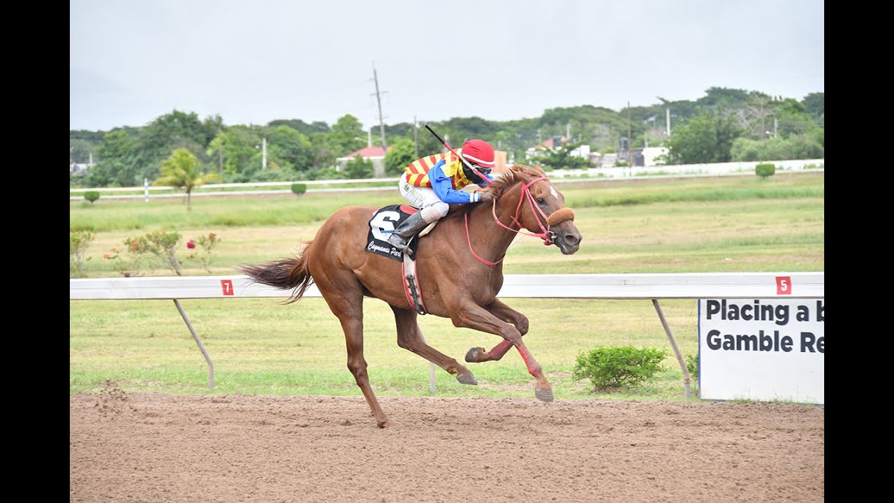 JAMAICA RACING: CHARMIN BEAUTY WINS THE CAYMANAS (SAT, 19,2022) Second ...