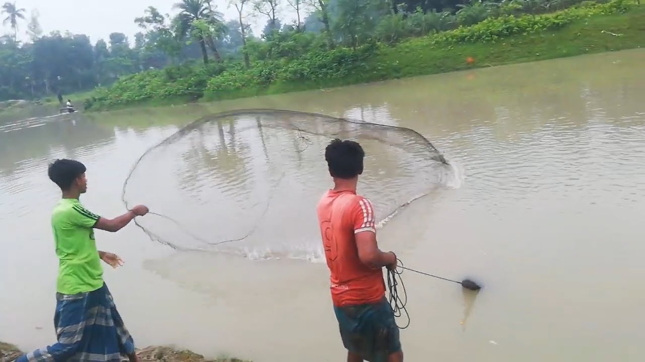 Amazing cast net fishing by the villagers | Cast net fishing in the river after rain - YouTube