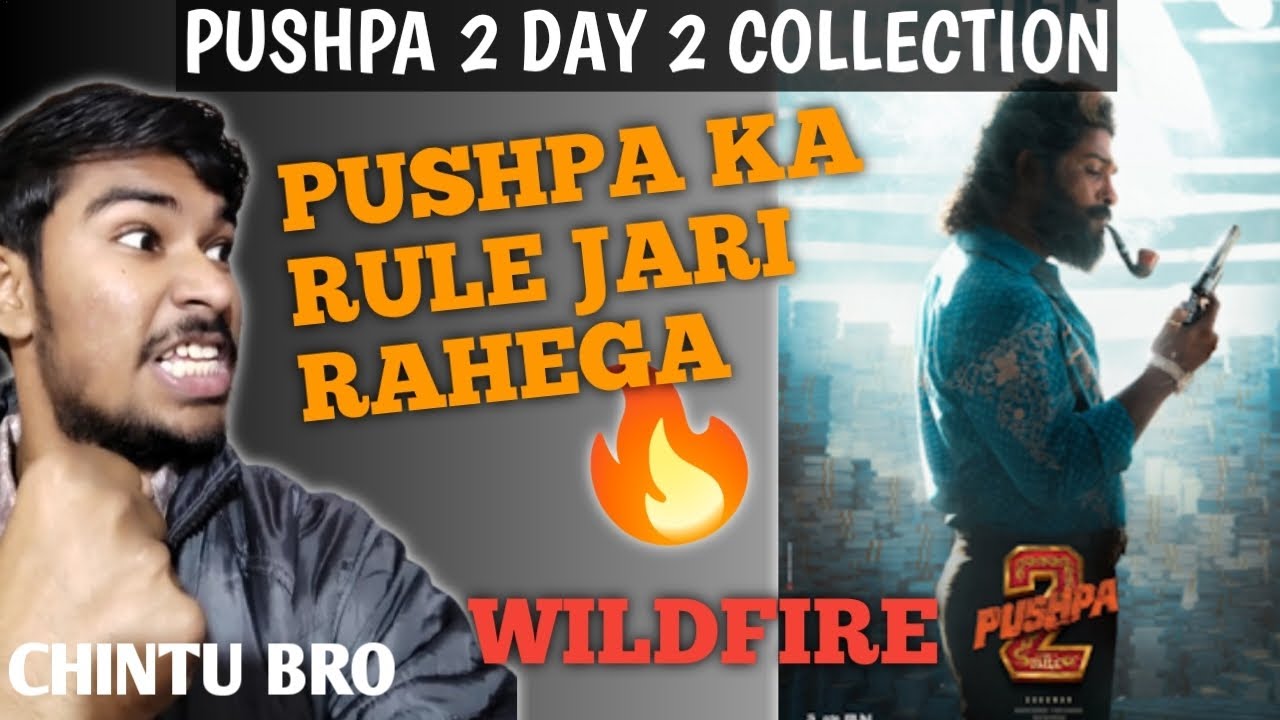 Pushpa 2 day 2 collection l Allu Arjun // Chintu bro 🔥🔥 - YouTube