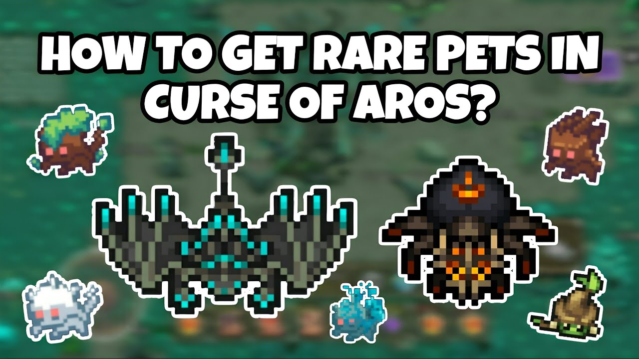 HOW TO GET RARE PETS IN CURSE OF AROS!!! - CURSE OF AROS - YouTube