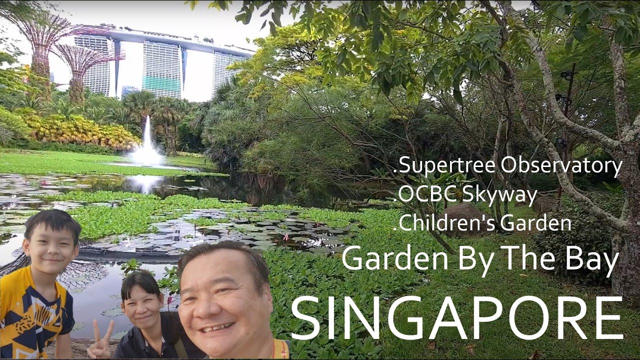 Singapore, Garden By The Bay,Raintree Observatory,OCBC skyway childern ...