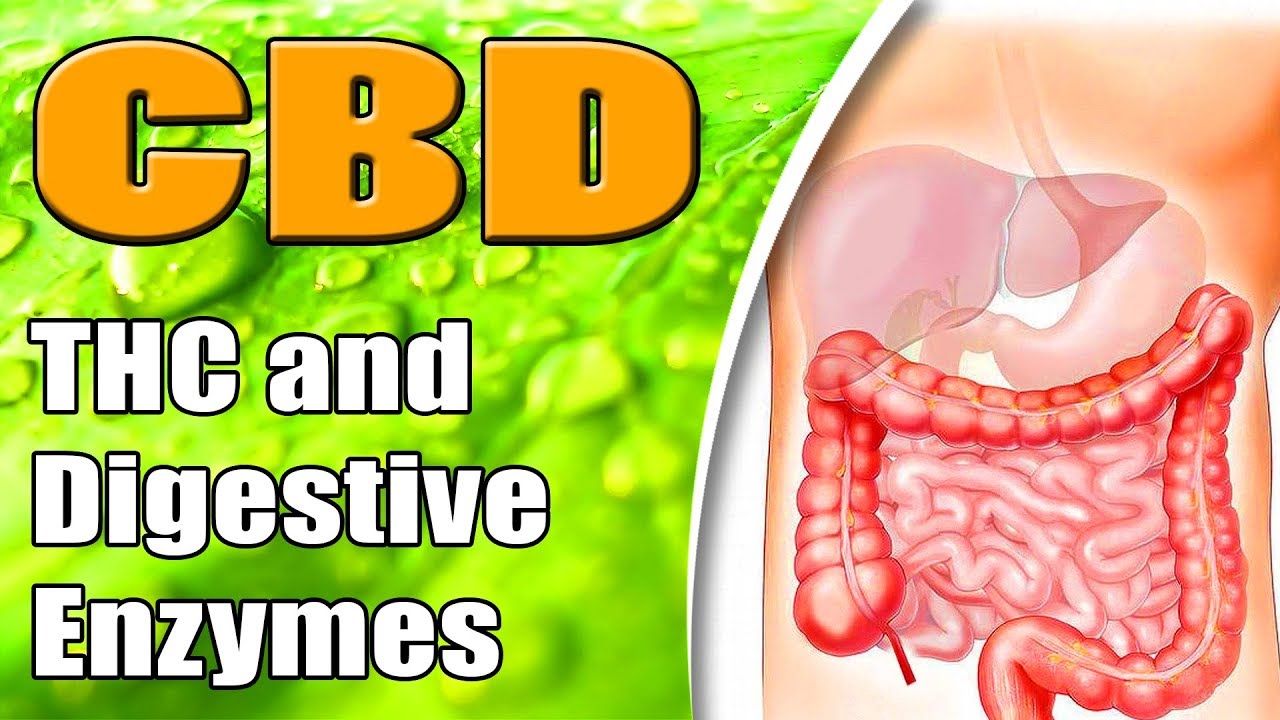 Can CBD Convert To THC in Digestive Enzymes (New Data!!) - azWHOLEistic ...