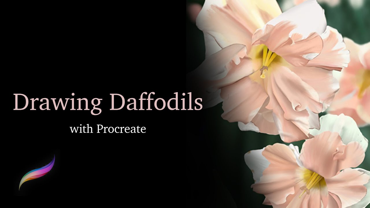 Drawing Daffodils with Procreate- Timelapse - YouTube