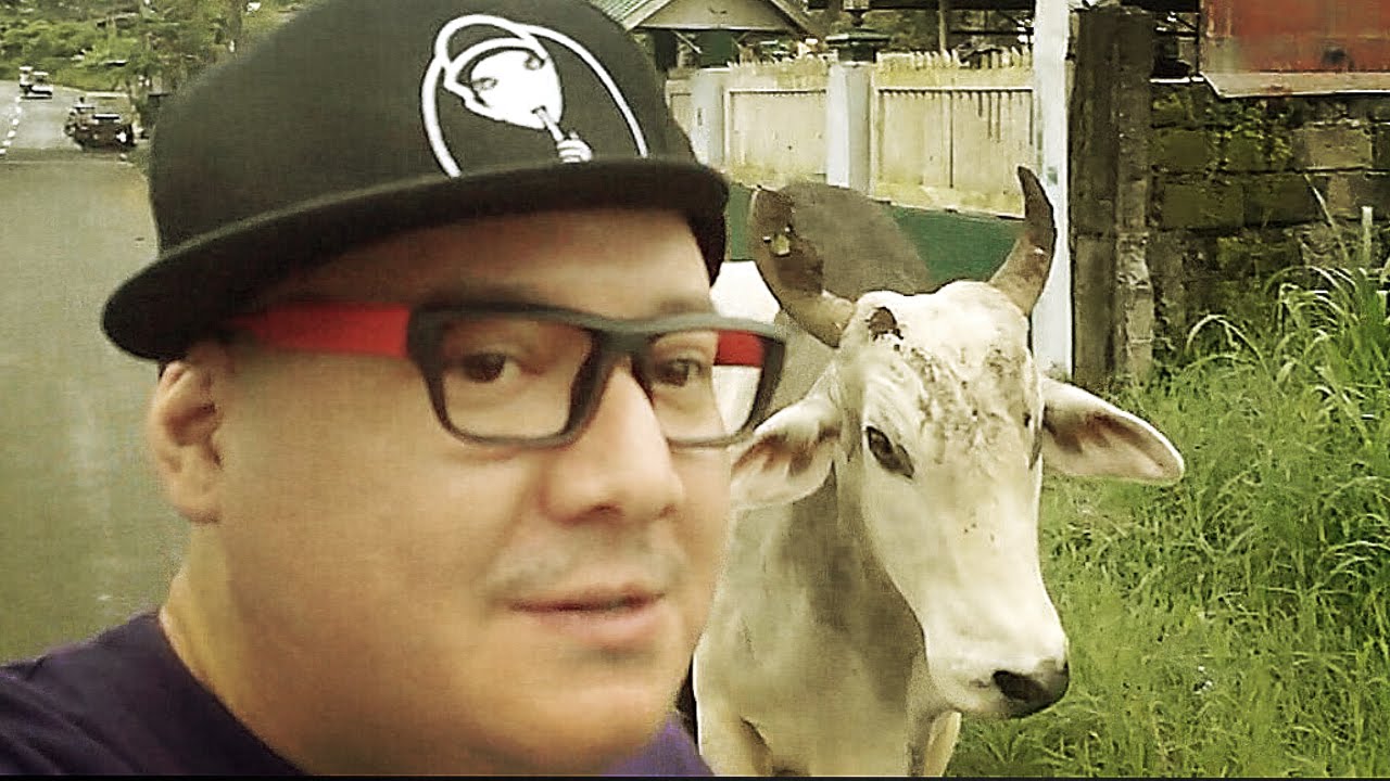 Puting Kalabaw & Puting Baka Trooping - YouTube