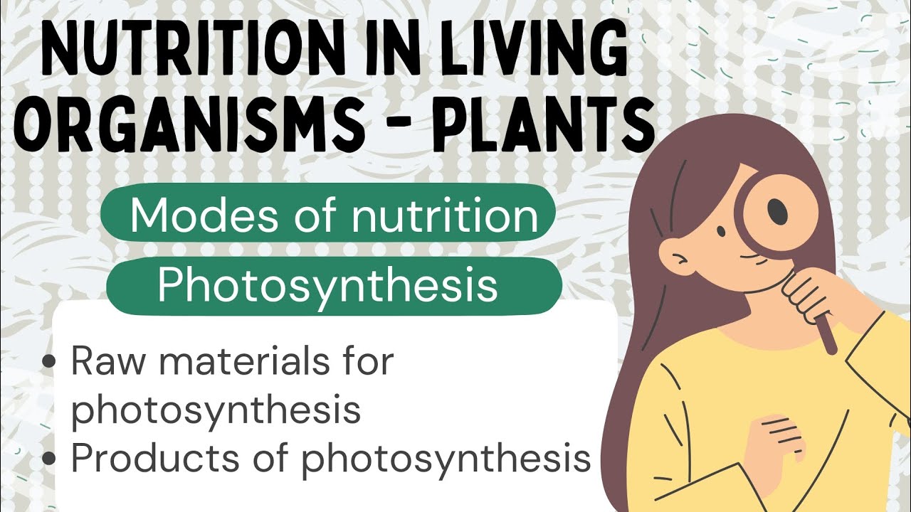CHAPTER 1 NUTRITION IN LIVING ORGANISMS PLANTS CLASS 7 DAV chapter-1-nutrition-in-living-organisms-plants-class-7-dav