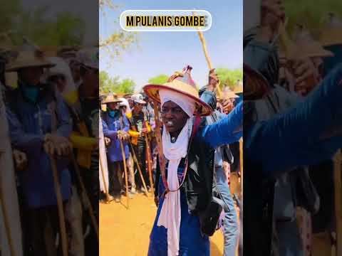 SHARO m pulanis gombe #fulani