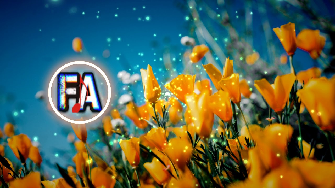 Flowers (Creative Commons) FREE Hip Hop beat - Unwritten Stories (No ...