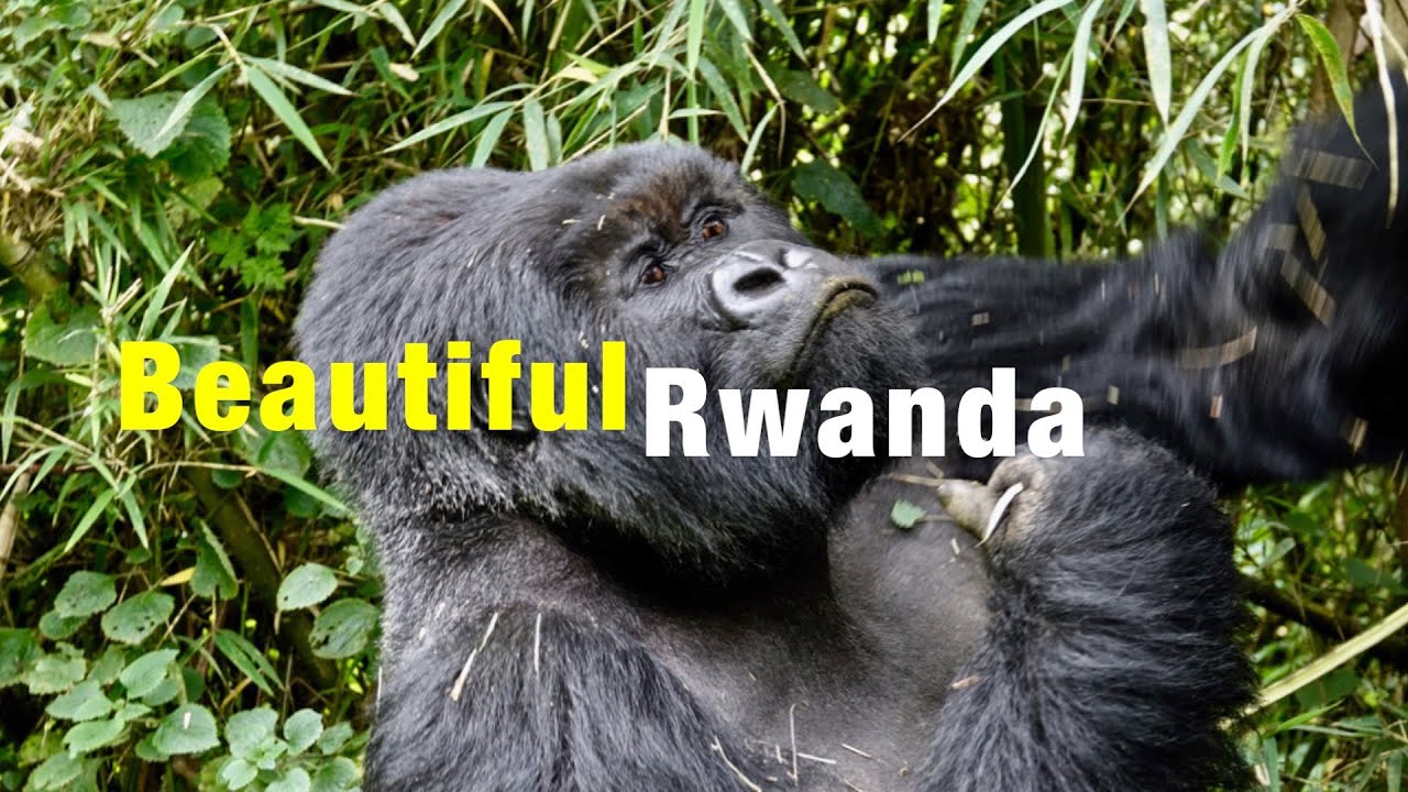 Rwanda 2019: Beautiful Rwanda - Complete Video - YouTube