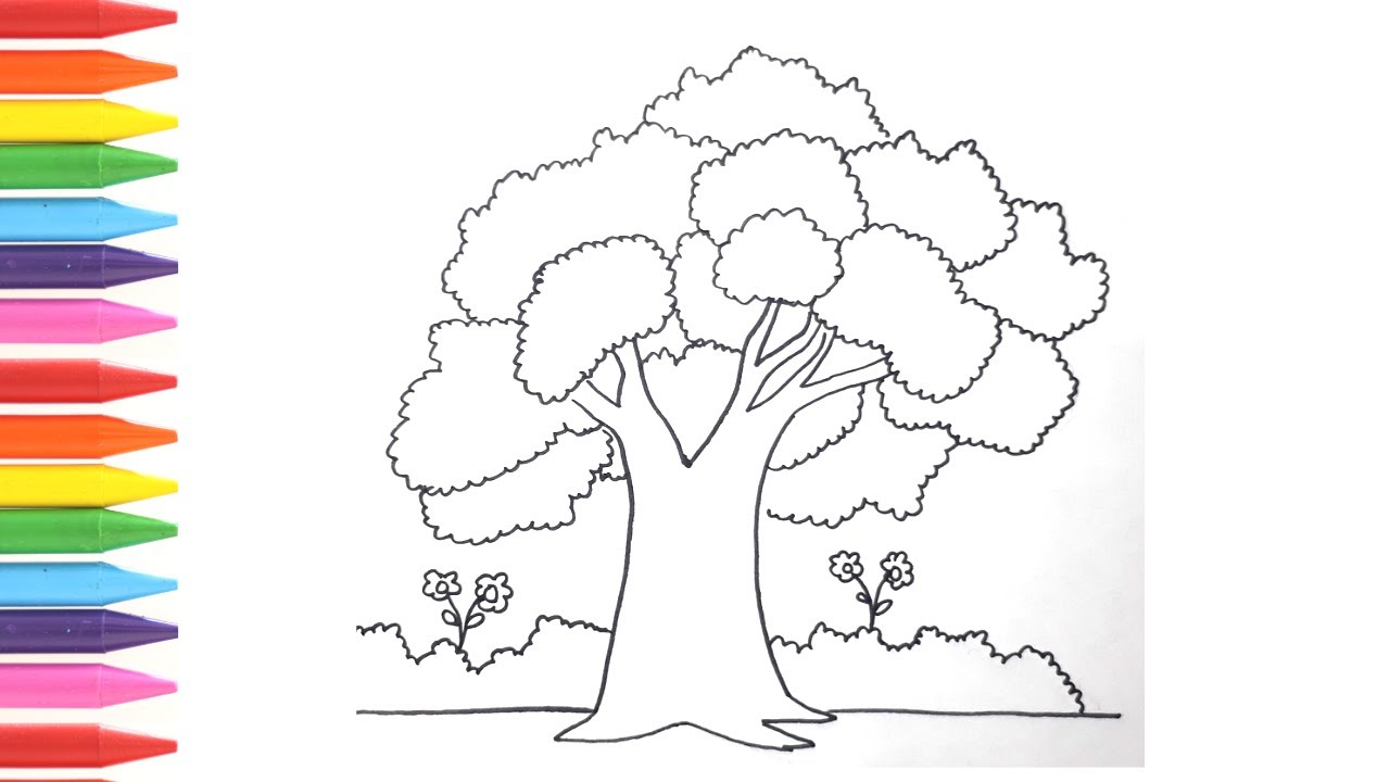 Drawing Tree for Children and Toddlers | Drawing and Coloring - YouTube