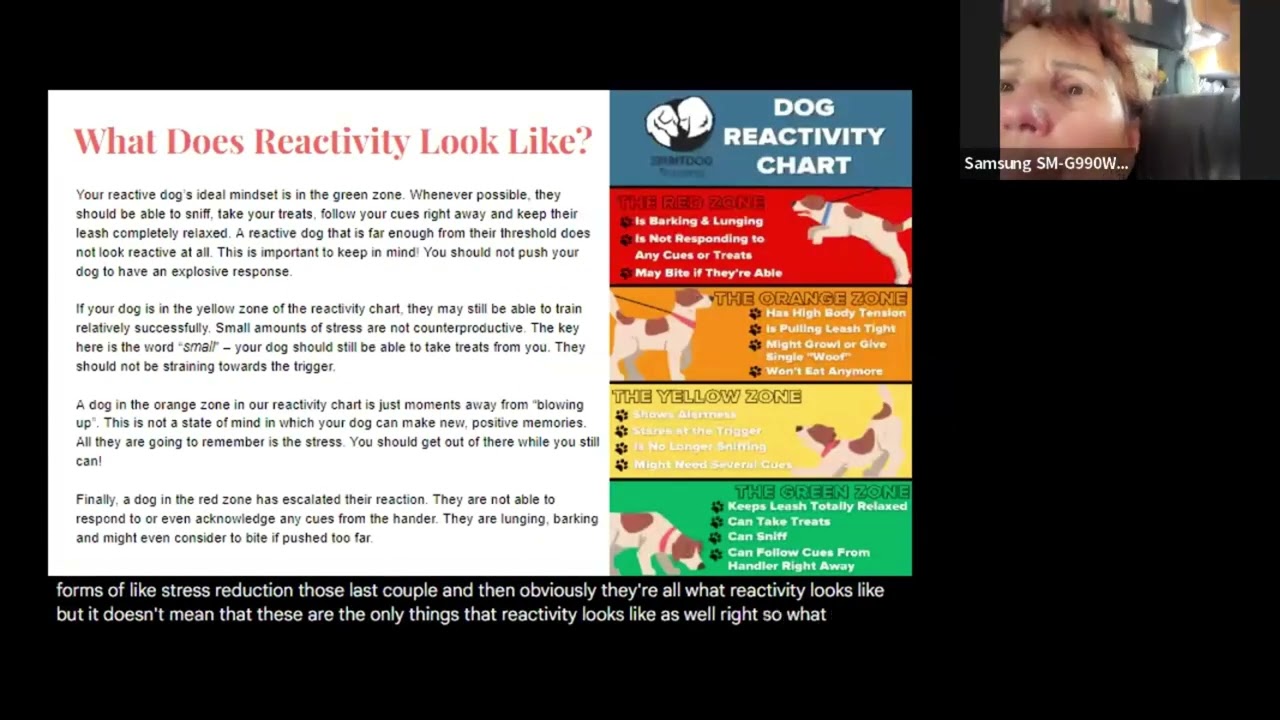 Reactivity Chart Periodic Table Wikipedia