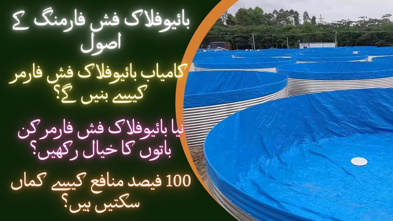 How To Start BioFloc Fish Farming in Pak|Modern Fish Farming|Biofloc ...