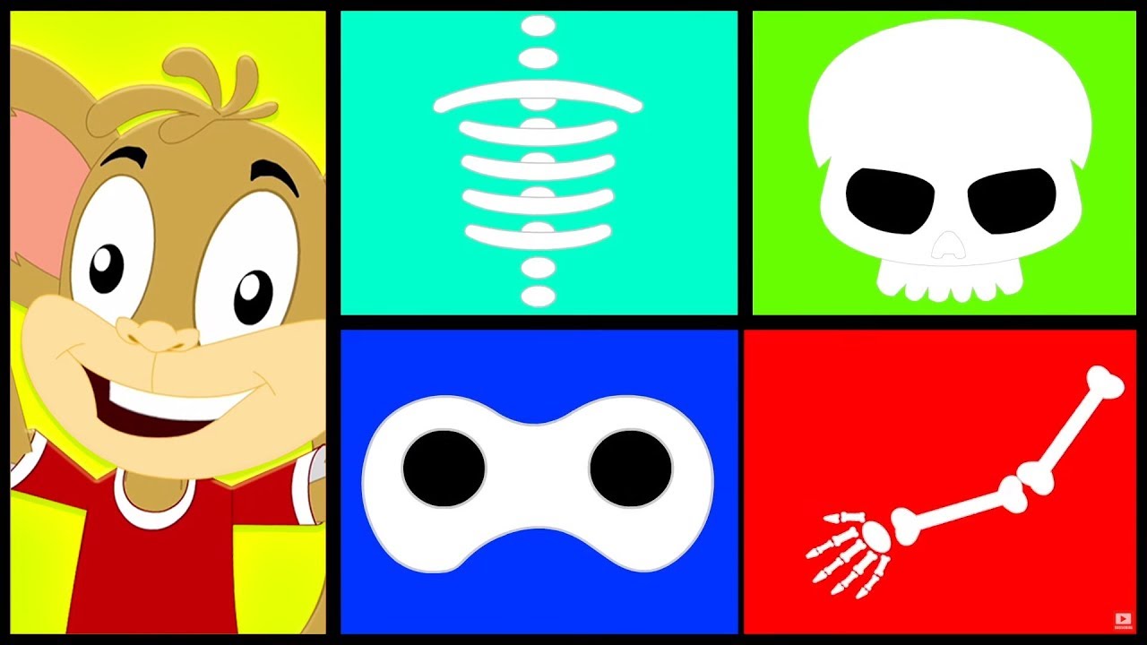 Bones In Your Body | Learning Videos for Kids | Kindergarten Nursery ...