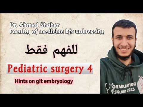 pediatric surgery 4 / hints on git embryology (optional) - YouTube