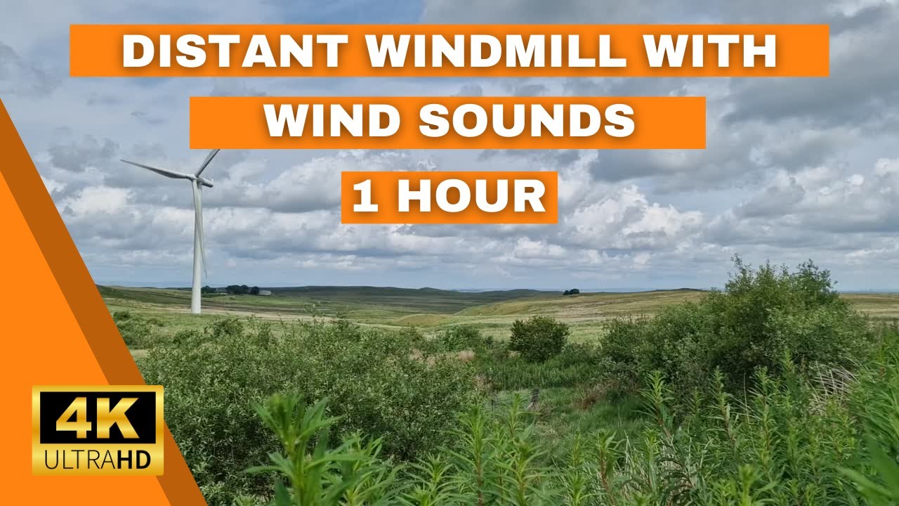 Distant Windmill With Wind Sounds (4K) - 1 Hour Relaxation Nature Video ...