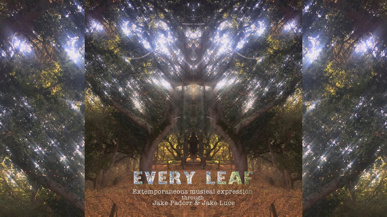 Every Leaf - Jake Padorr & Jake Luce (full audio) - YouTube